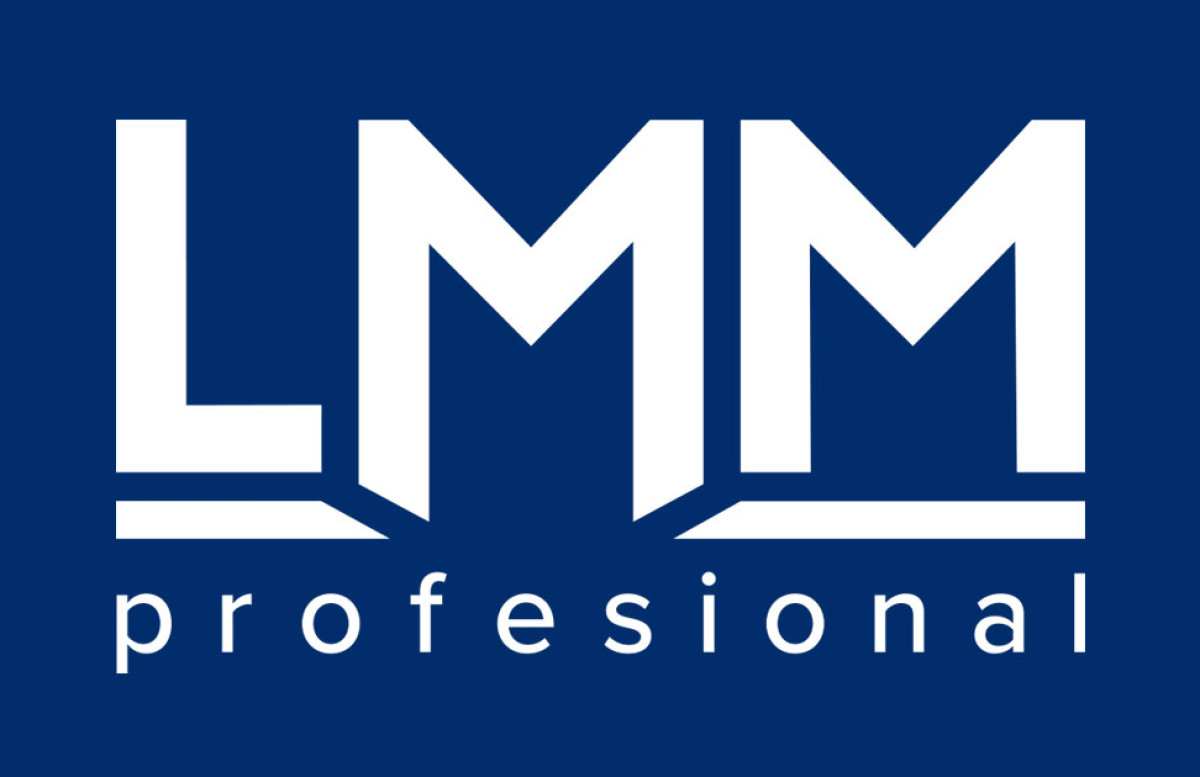 LMM Profesional